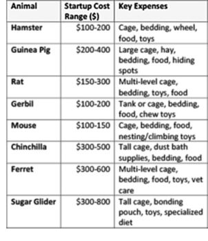 Pocket Pets: 8 of the Most Popular Mammals - Savvy Pet Care